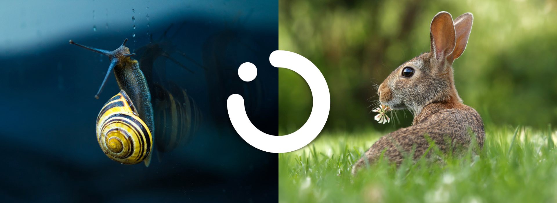 Quick, quick, slow. | Enervee Blog